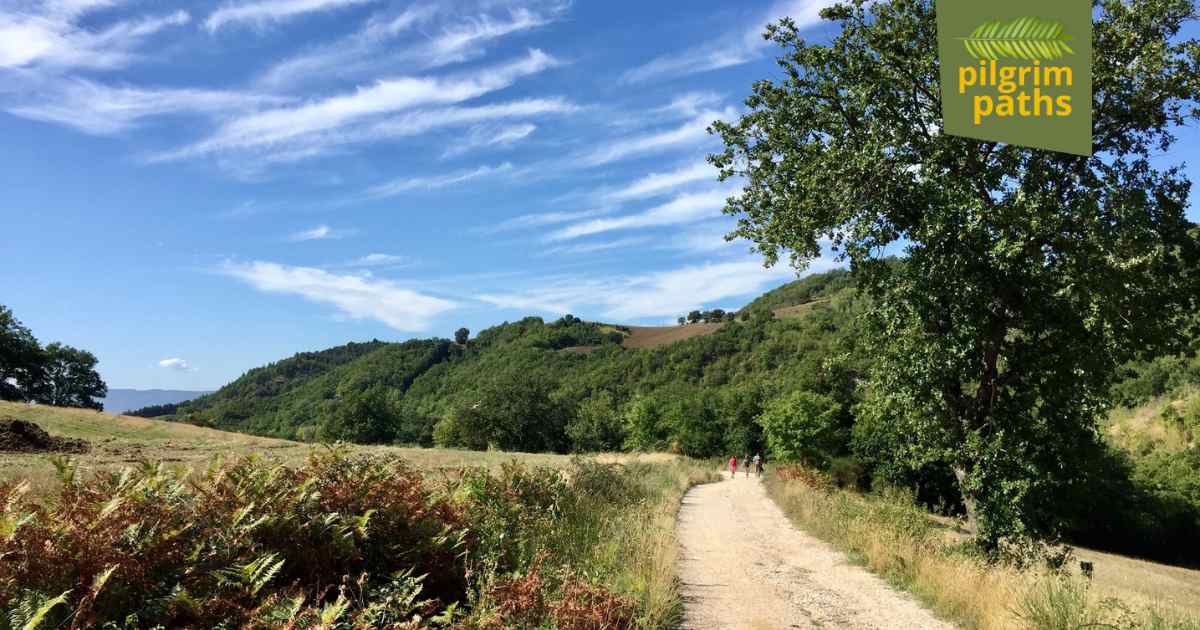Camino packages List